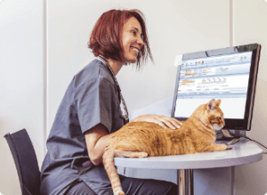 Solumed - Your medical software solutions provider